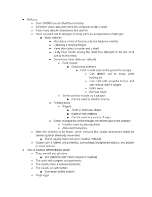 Phylum Chordata-Fishes - Phylum Chordata: Vertebrates The Fish Classes ...