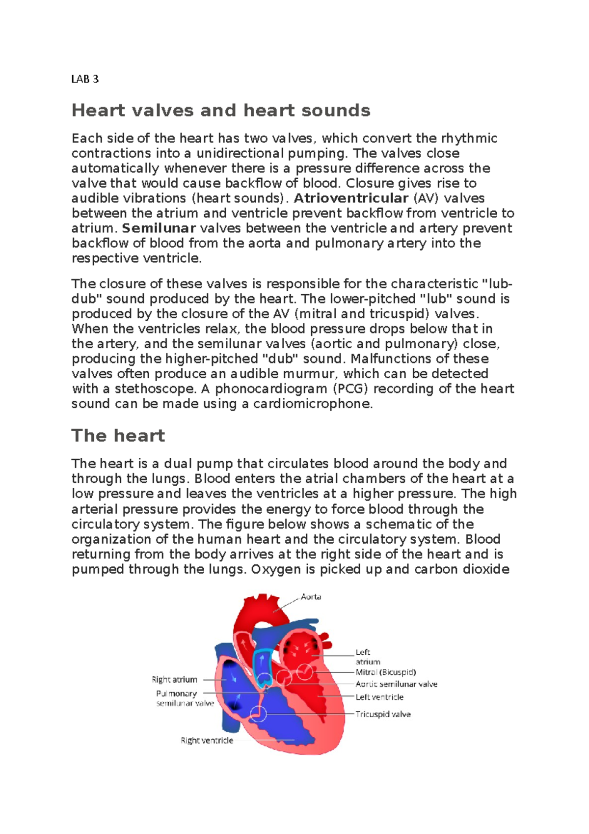 PRE LAB 3- Cardiac - LAB 3 Heart valves and heart sounds Each side of ...