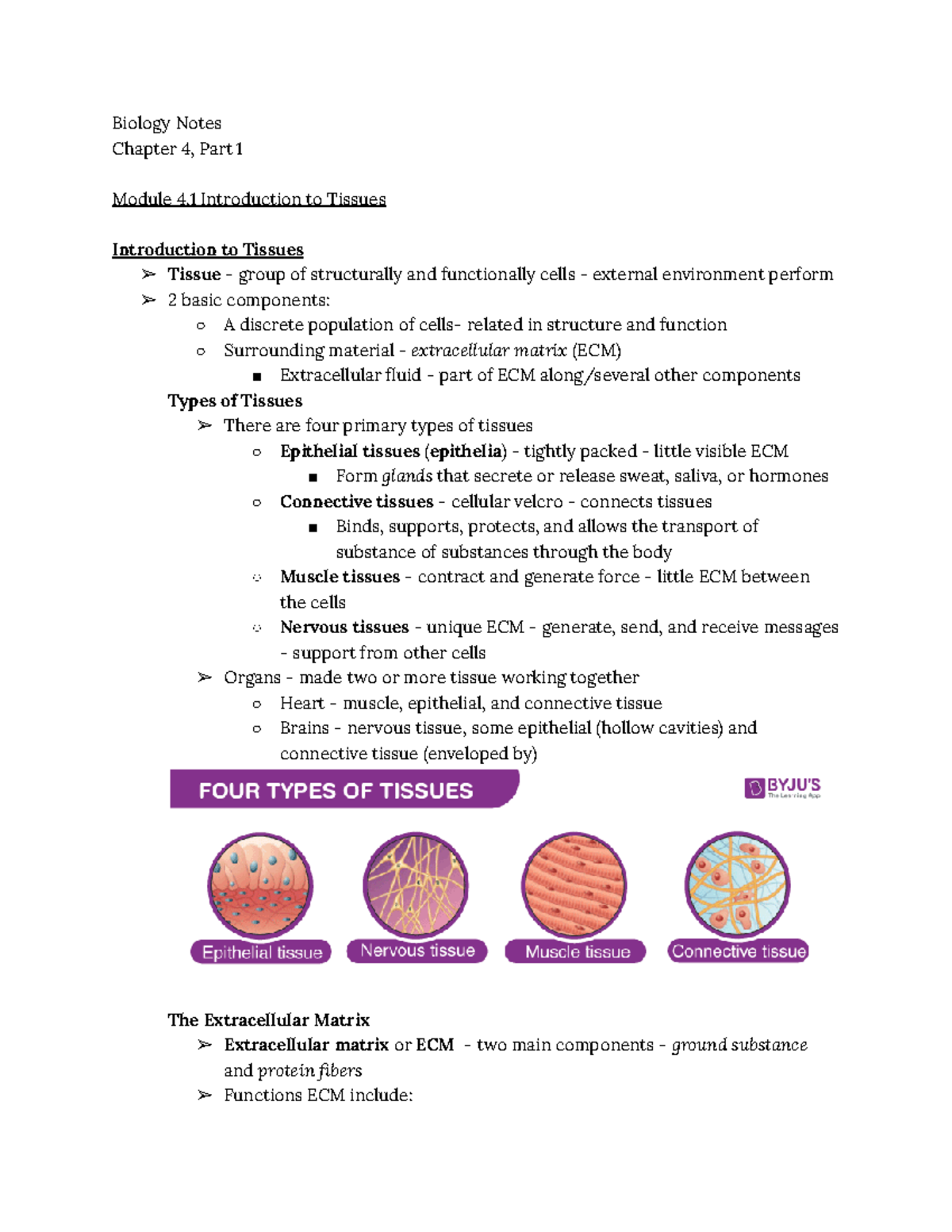 Biology 109 Notes Chapter 4, Part 1 - Biology Notes Chapter 4, Part 1 ...