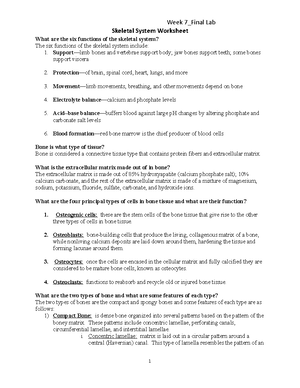 Week 5-Integumentary system lab - BIOS251 OL, Week 5 Lab Name: OL Lab 5 ...
