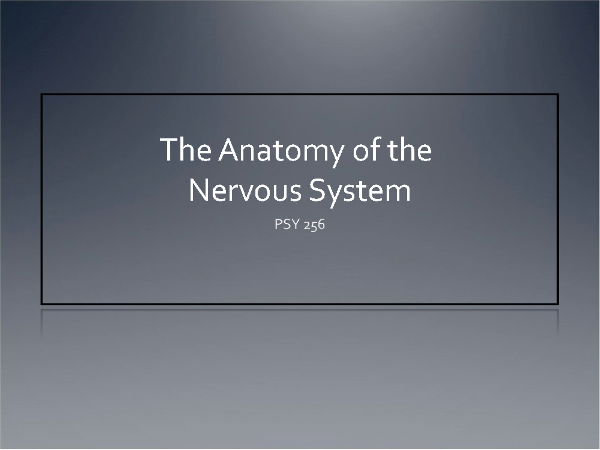Lecture Notes, Lecture Nervous System - The Anatomy of the Nervous ...
