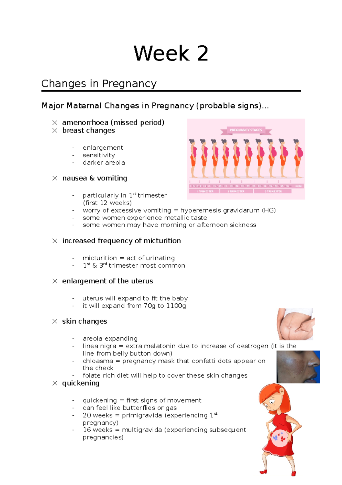 Maternal Care notes Week 2 - Week 2 Changes in Pregnancy Major Maternal ...