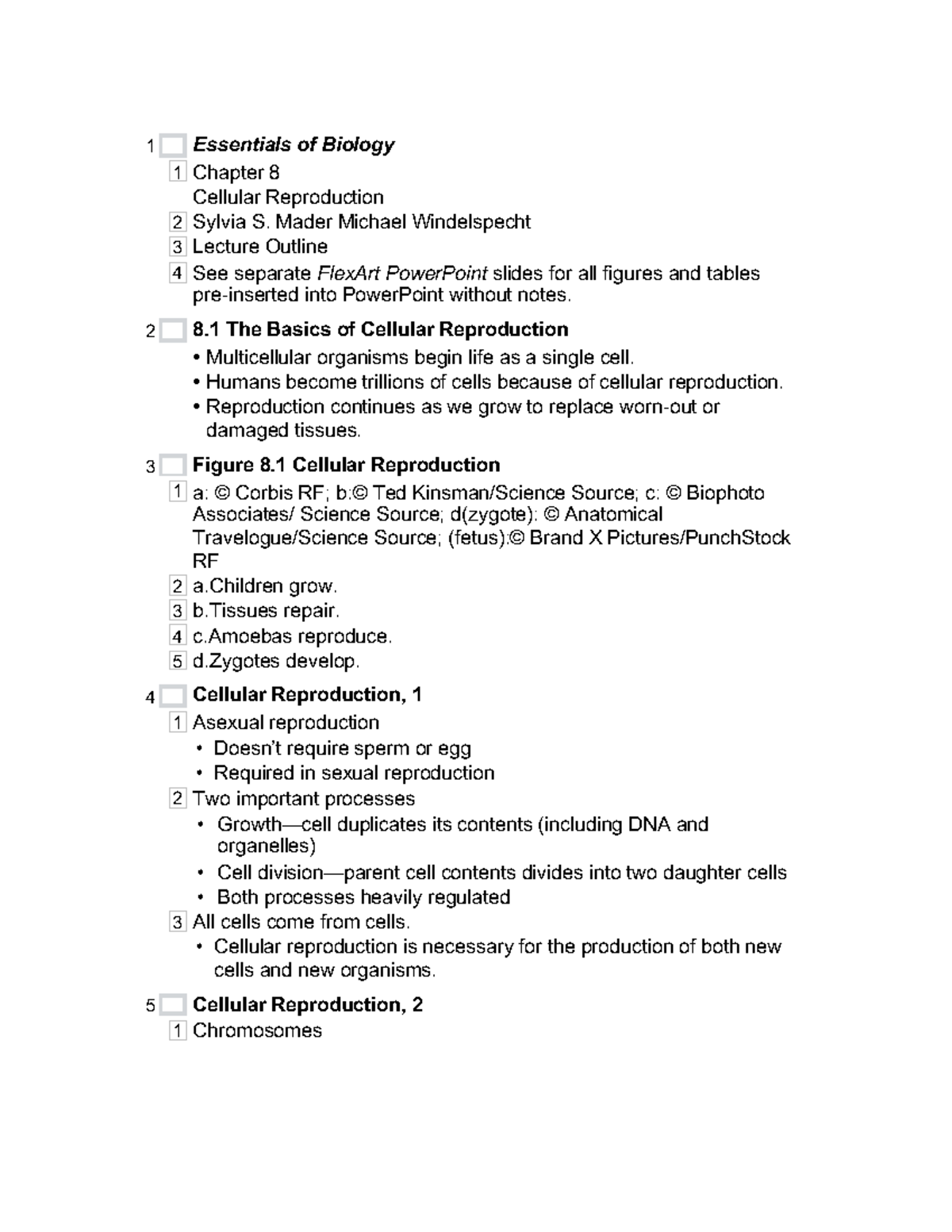 Chapter 8 - Lecture Notes - Essentials of Biology Chapter 8 Cellular ...