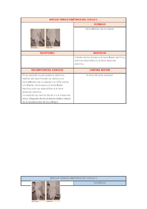 Cif resumen - cif fisioterapia - Guía metodológica para elaborar el diagnóstico fisioterapéutico ...