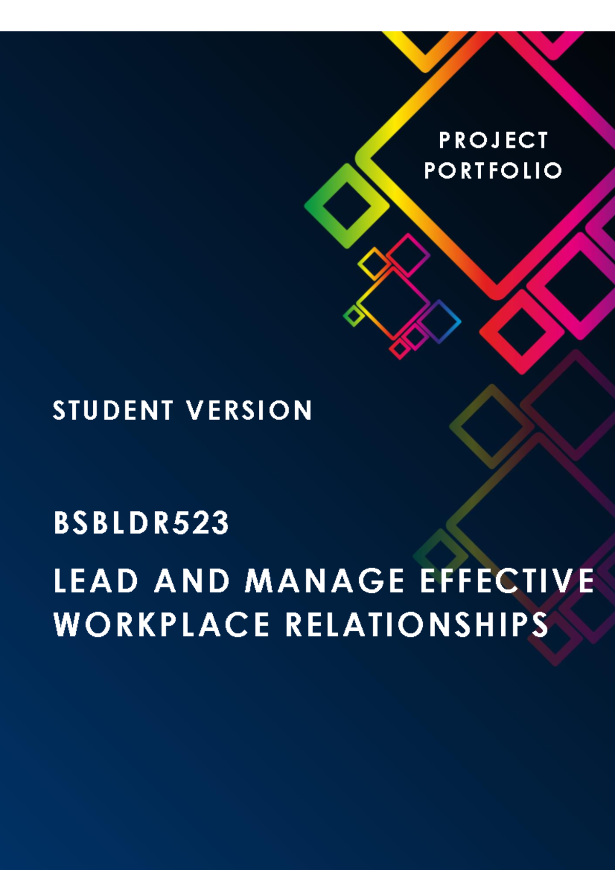 Bsbldr 523 V1.0 Project Portfolio - P R O J E C T P O R T F O L I O ...