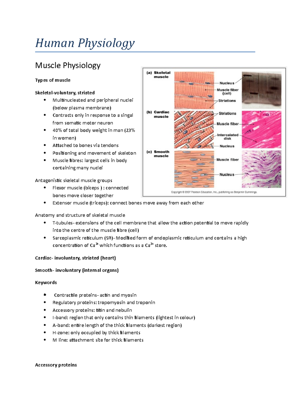 Human Physiology notes - Human Physiology Muscle Physiology Types of ...