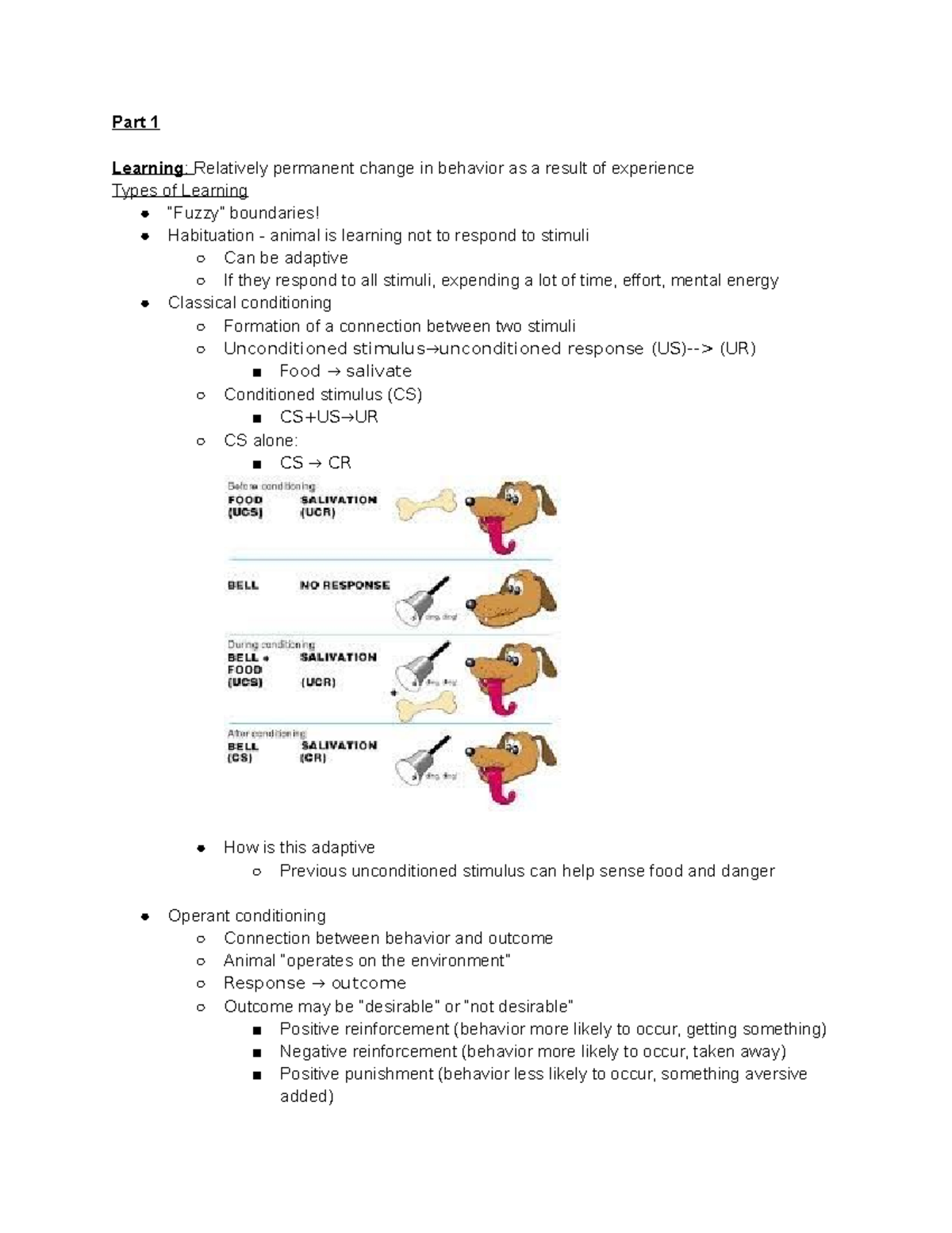 Ch. 7 Video Lectures - Part 1 Learning: Relatively permanent change in ...