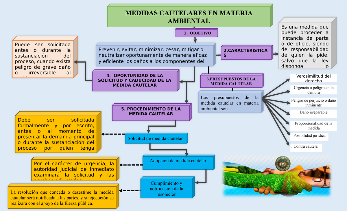 MAPA Conceptual Final - MEDIDAS CAUTELARES EN MATERIA AMBIENTAL Prevenir, evitar, minimizar ...
