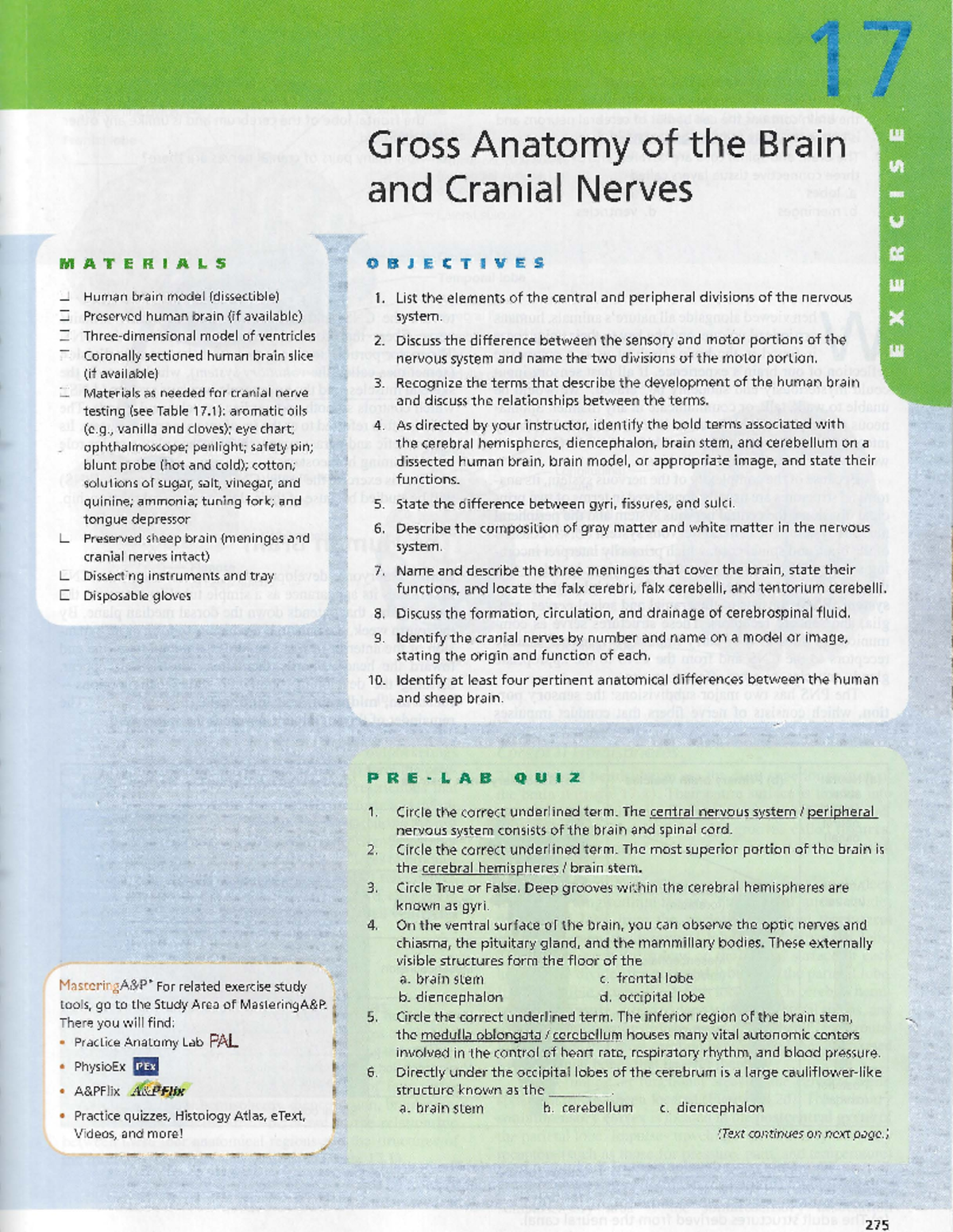 Exercise 5 Brain - Lab practical full credit worksheet. - BIO 213 - h b ...