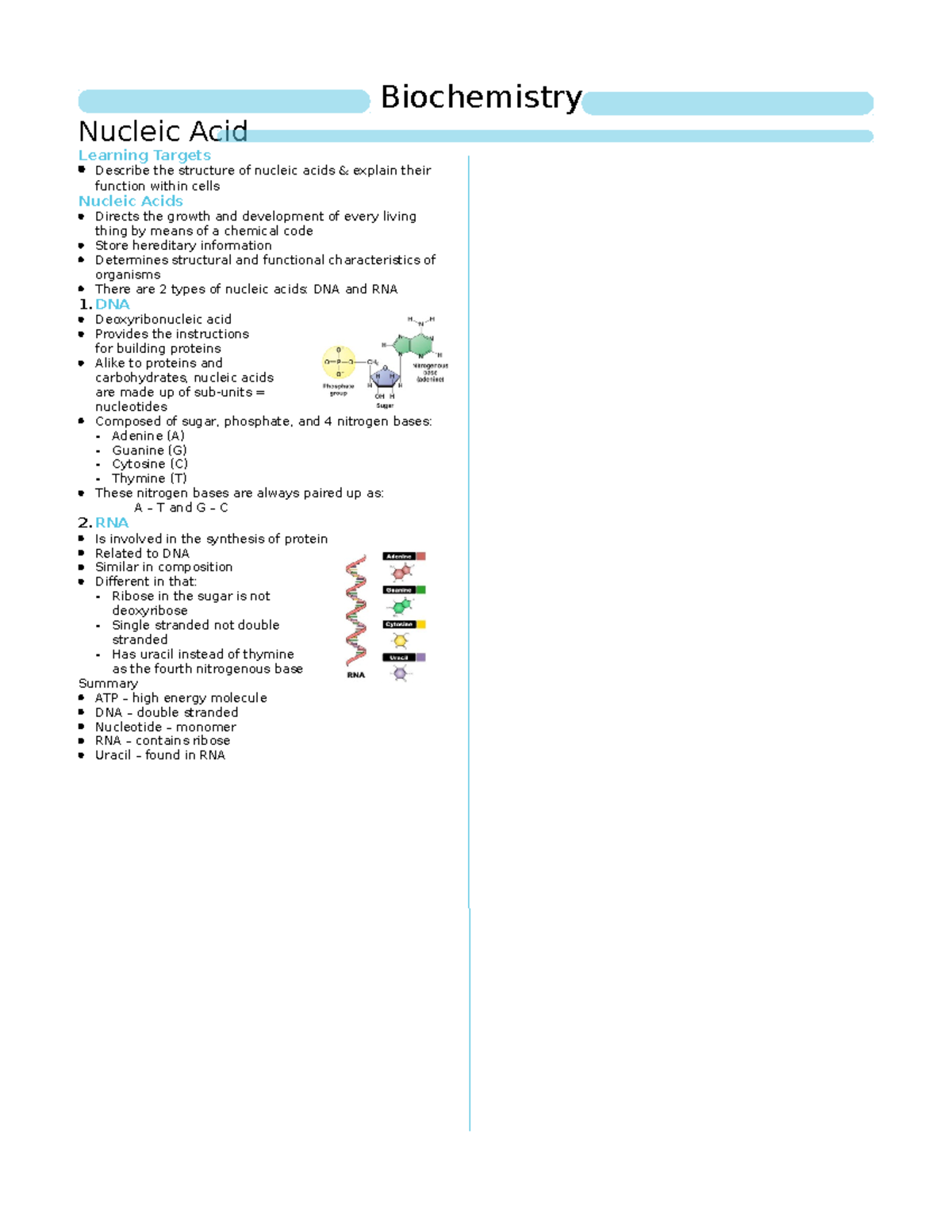 Lesson 9 - Nucleic Acid - Class Notes - Biochemistry Nucleic Acid ...
