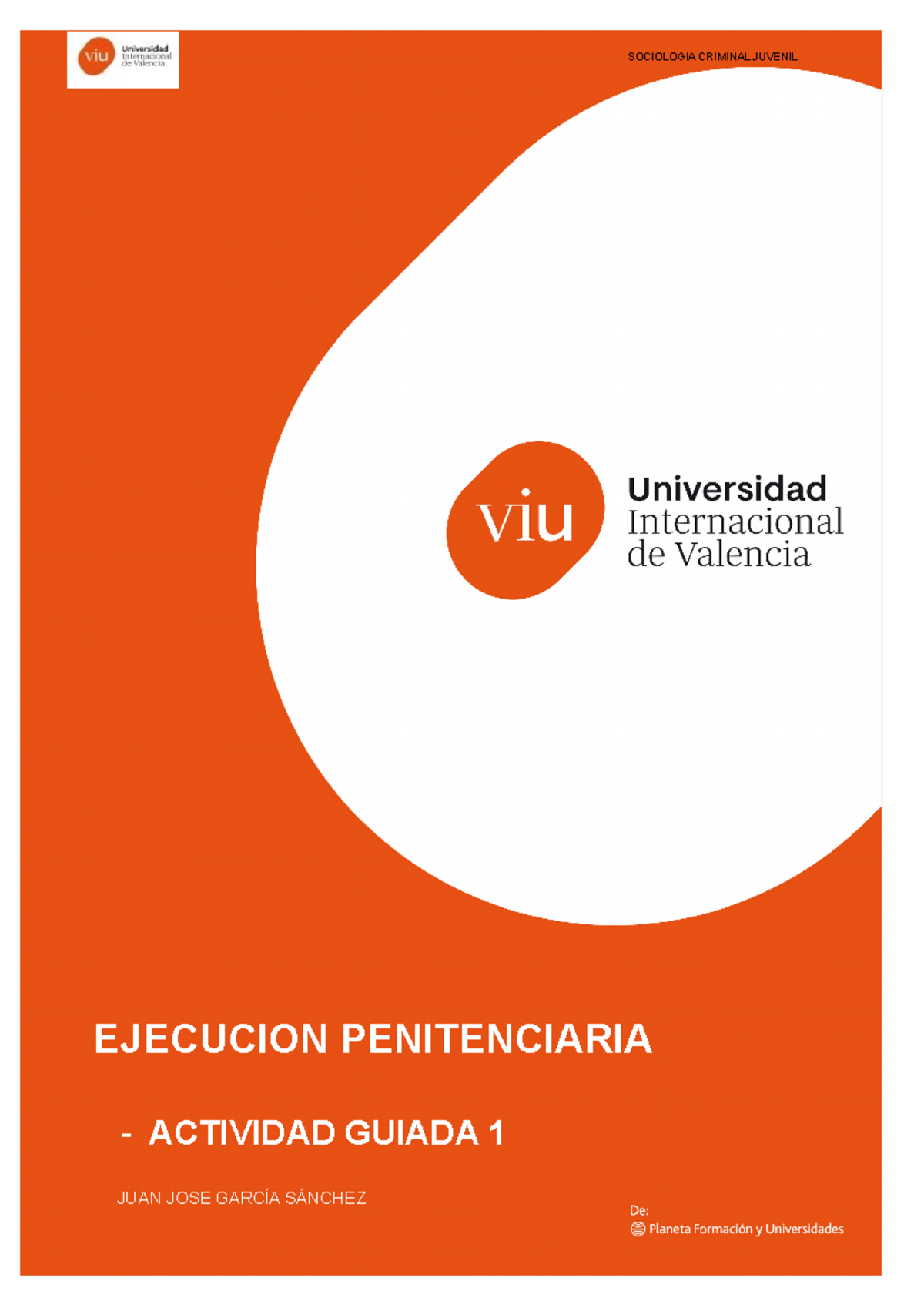 AG1 Ejecucion Penitenciaria VIU - EJECUCION PENITENCIARIA - ACTIVIDAD GUIADA 1 JUAN JOSE GARCÍA ...