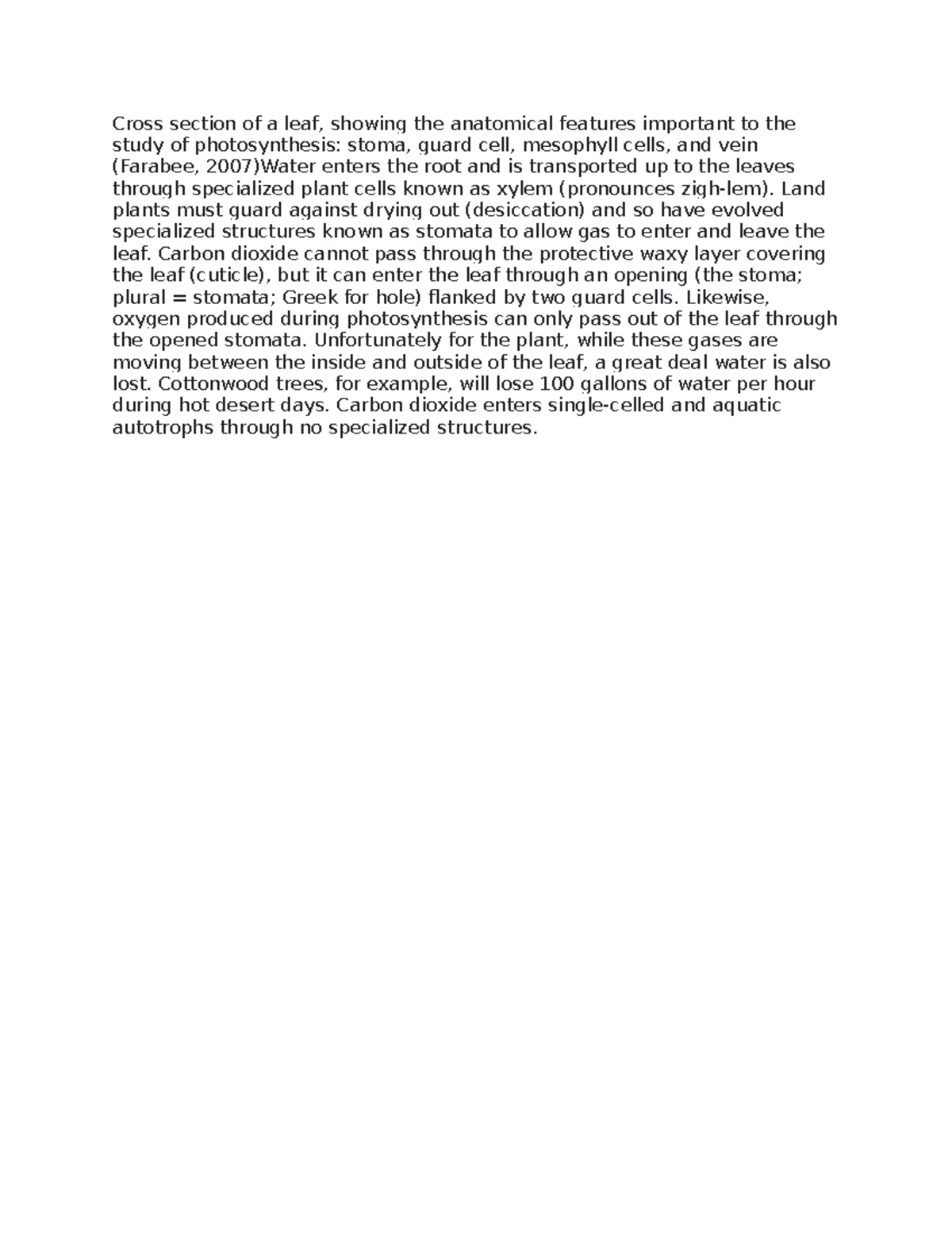 88 - essay - Cross section of a leaf, showing the anatomical features ...