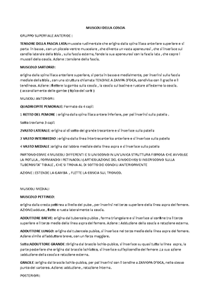Anatomia muscoli del torace - MUSCOLI DEL TORACE Muscoli Elevatori delle Coste : Sono visibili ...