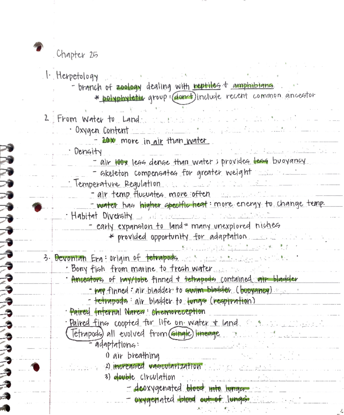 Chapter 25 - Teacher: Carter Wolff - BIO 2513 - Studocu