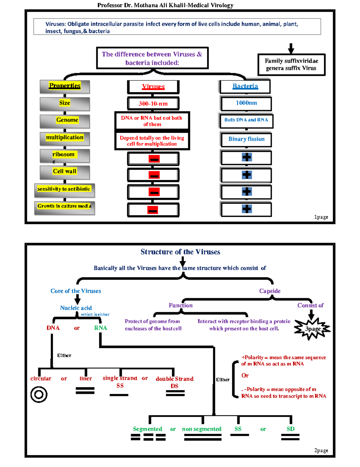 Structure of the Viruses - Family suffixviridae genera suffix Virus ...