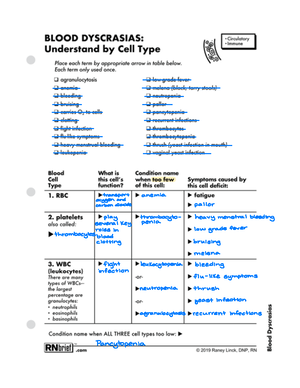 Complete Blood Count Homework - CBC with Differential Normal Adult ...