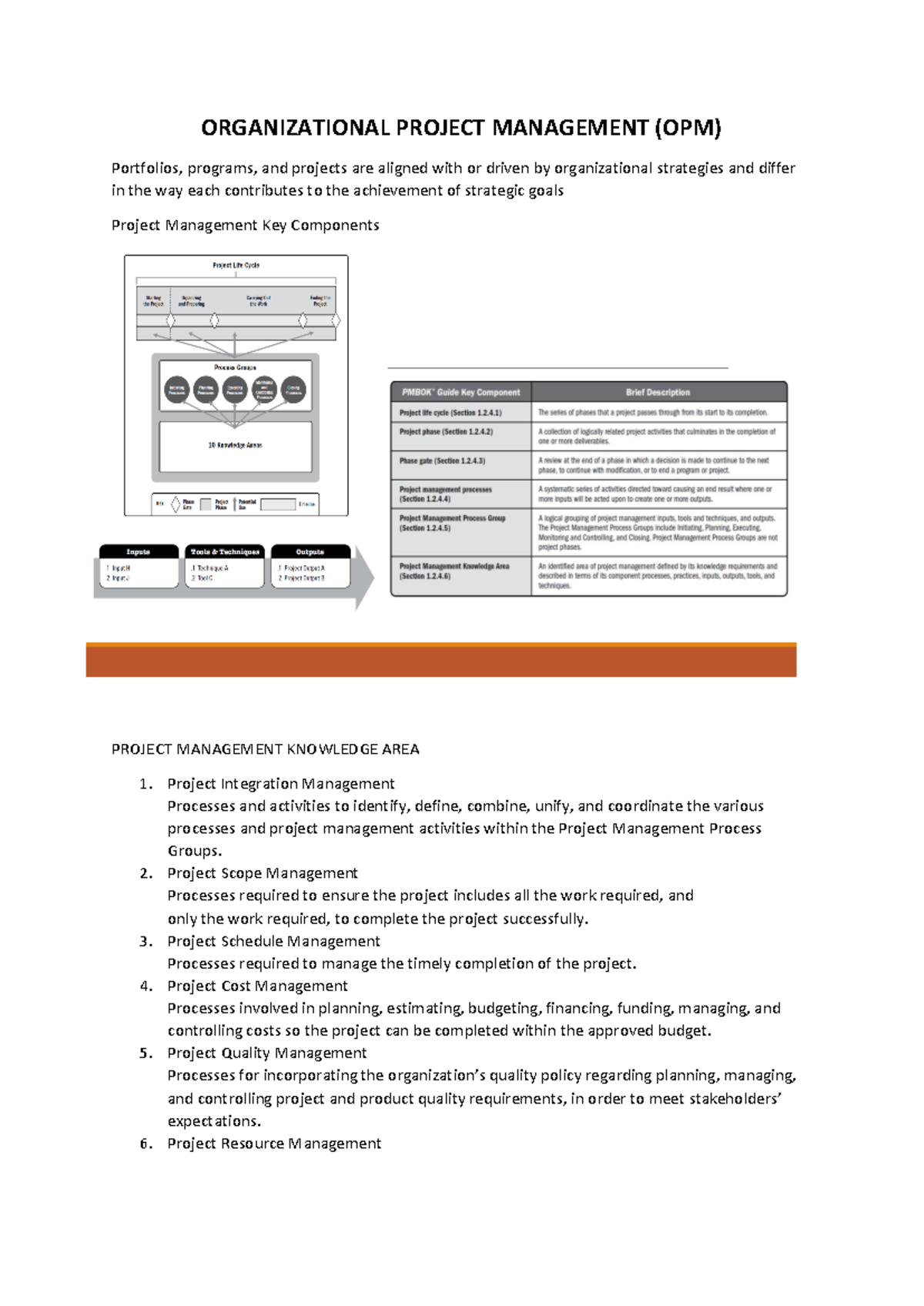 Organizational Project Management - ORGANIZATIONAL PROJECT MANAGEMENT ...