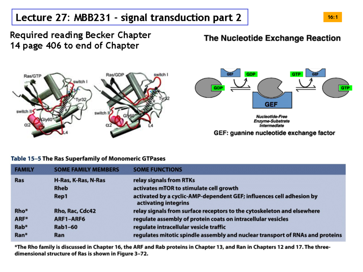 Lect 27 Mbb231 Signal Transduction Part2 - Warning: Error during font loading: XMLHttpRequest is ...