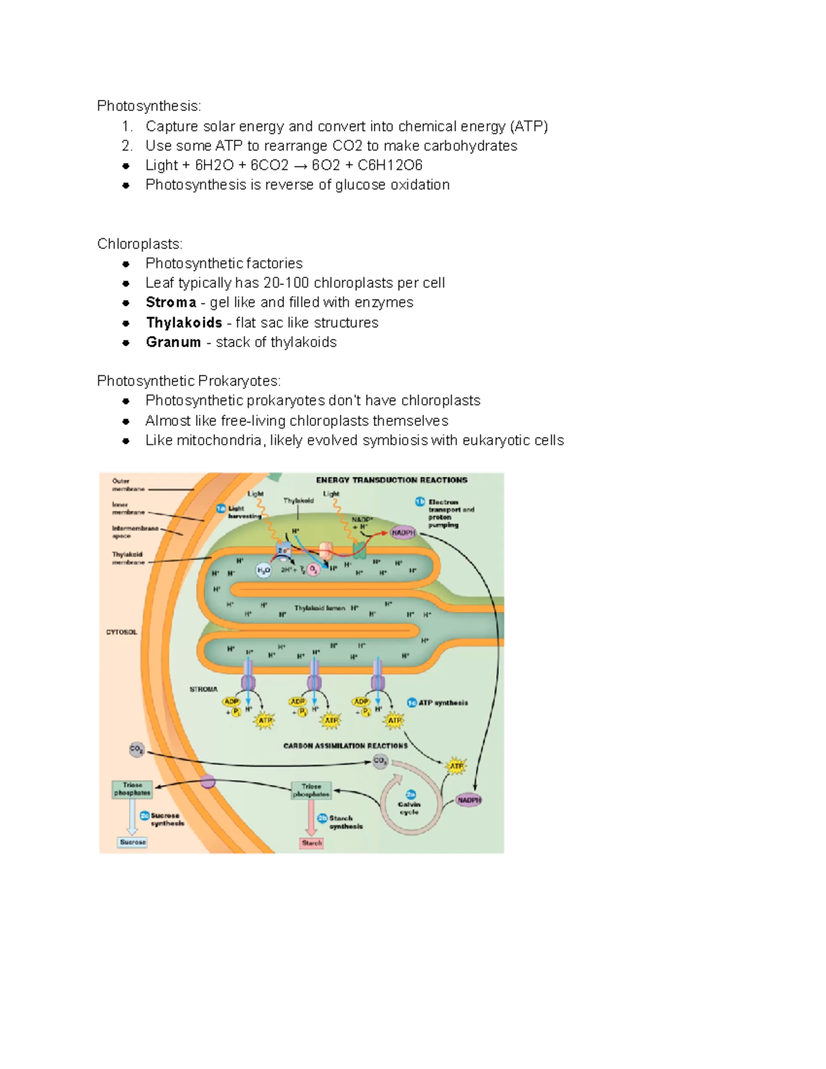 Photosynthesis and Energy Transduction - Photosynthesis: 1. Capture ...
