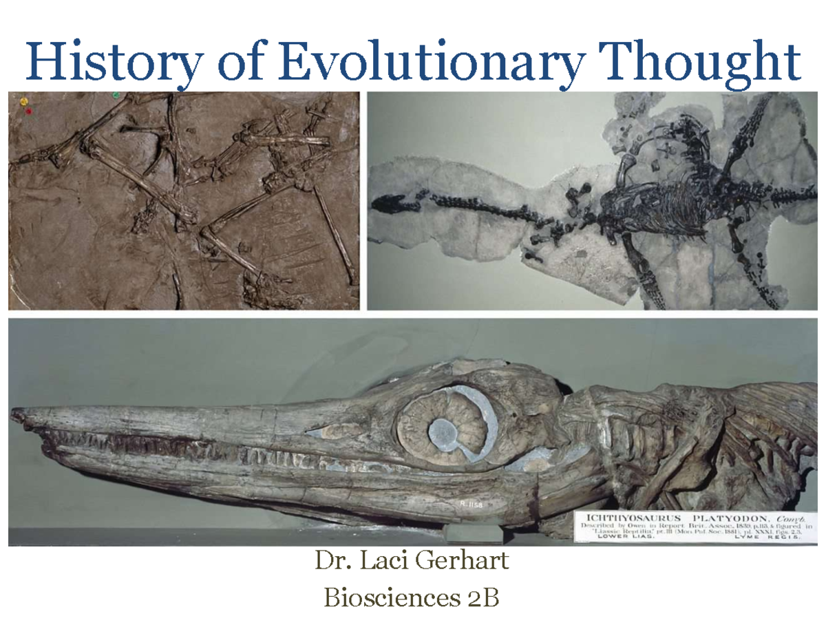 12 History Of Evolution - History of Evolutionary Thought Dr. Laci ...