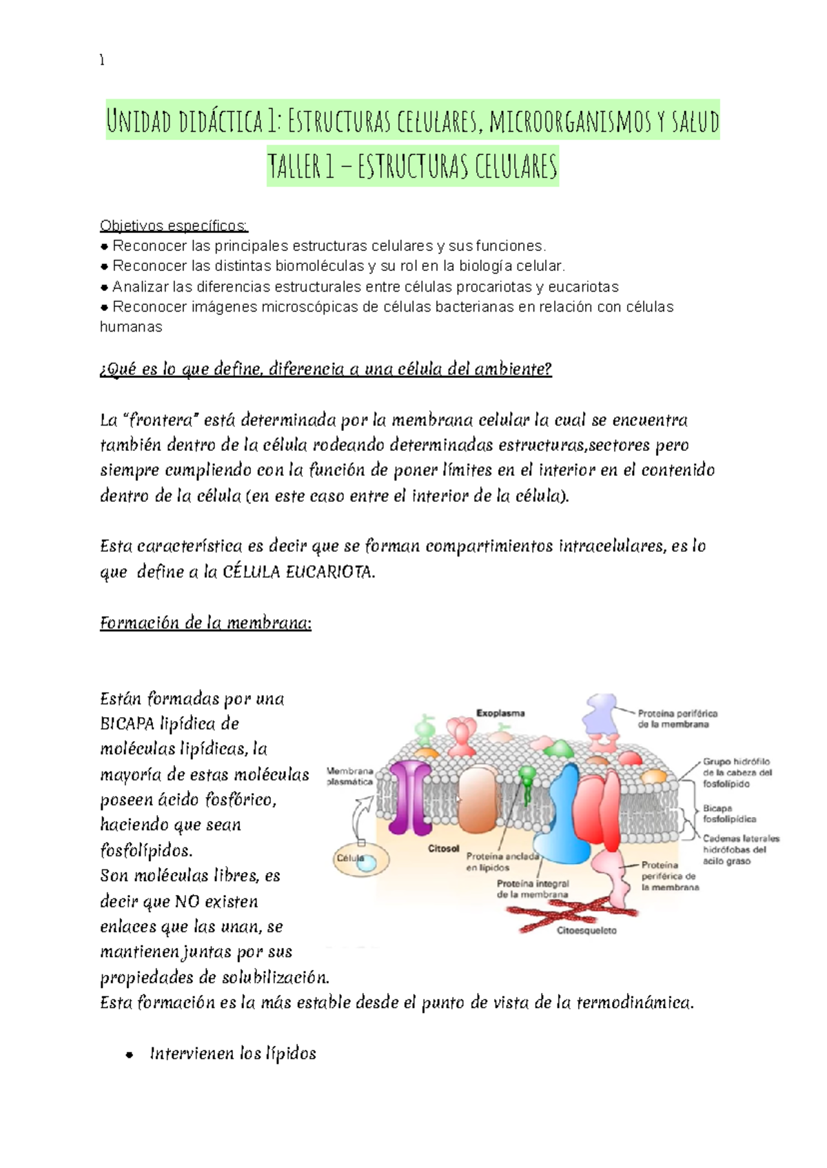 IBCM - Unidad didáctica 1: Estructuras celulares, microorganismos y ...