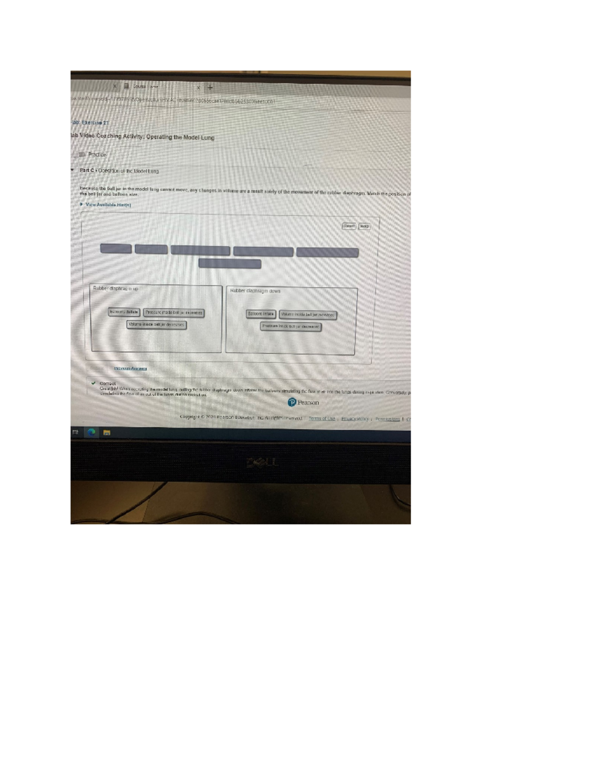 Lab Assignment 6 - Lab material - BIO 2221 - Studocu