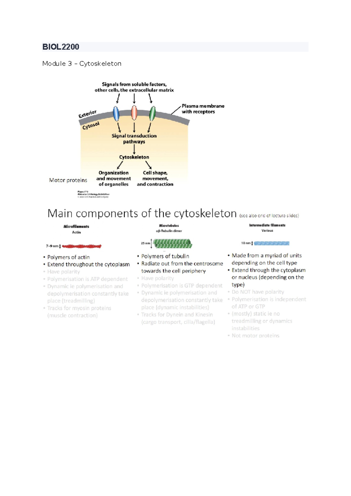 BIOL2200 diagrams - Summary Cell Structure & Function - BIOL2200 - BIOL Module 3 – Cytoskeleton ...
