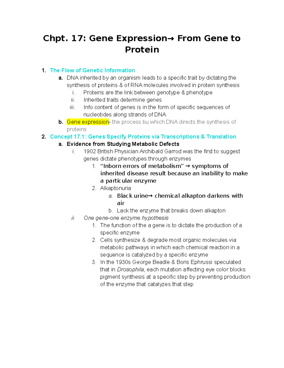 Gene From Gene to Protein: Transcription and Translation - Studocu
