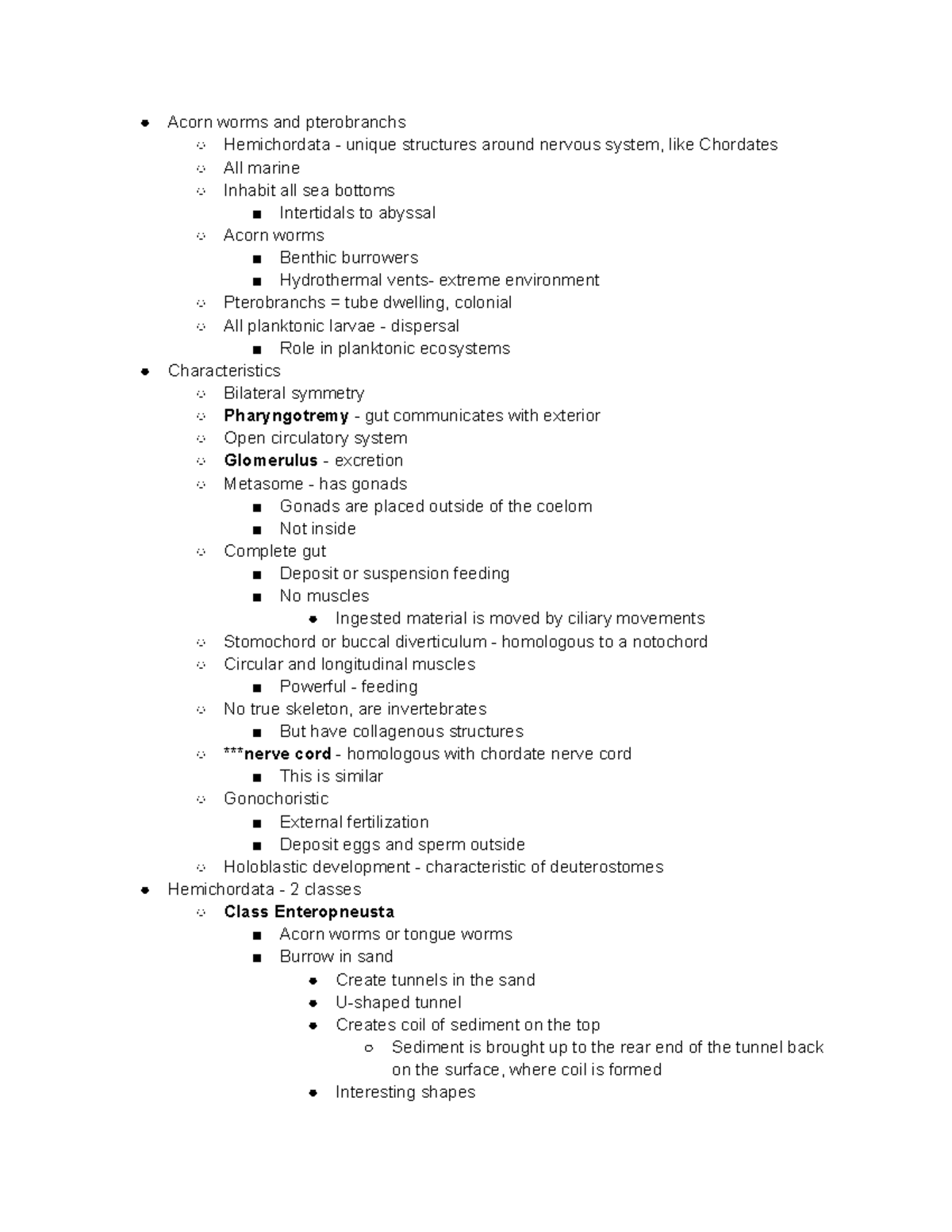5 7 Hemichordata - Invertebrate notes - Acorn worms and pterobranchs ...
