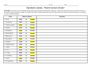 Measuring Mass Lab Investigation - Introduction to Science – Lab ...