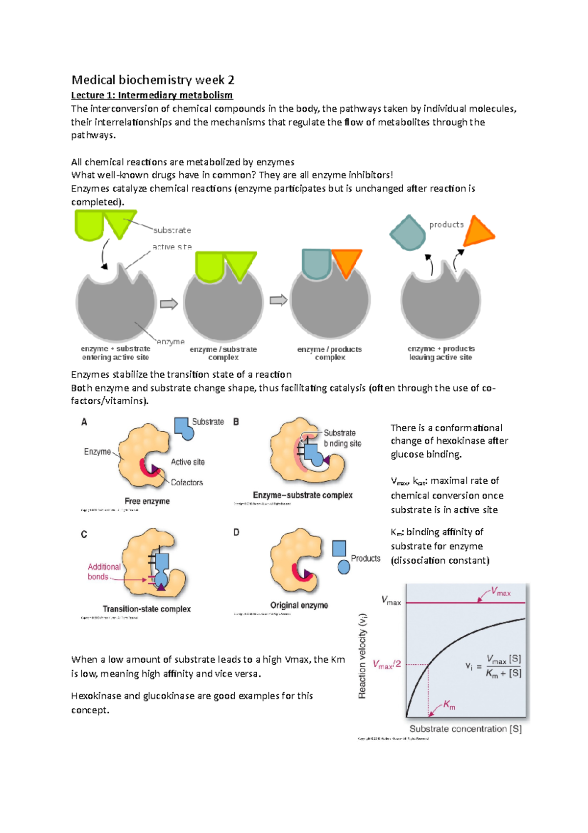 Week 2 Medical Biochemistry - Medical biochemistry week 2 Lecture 1 ...