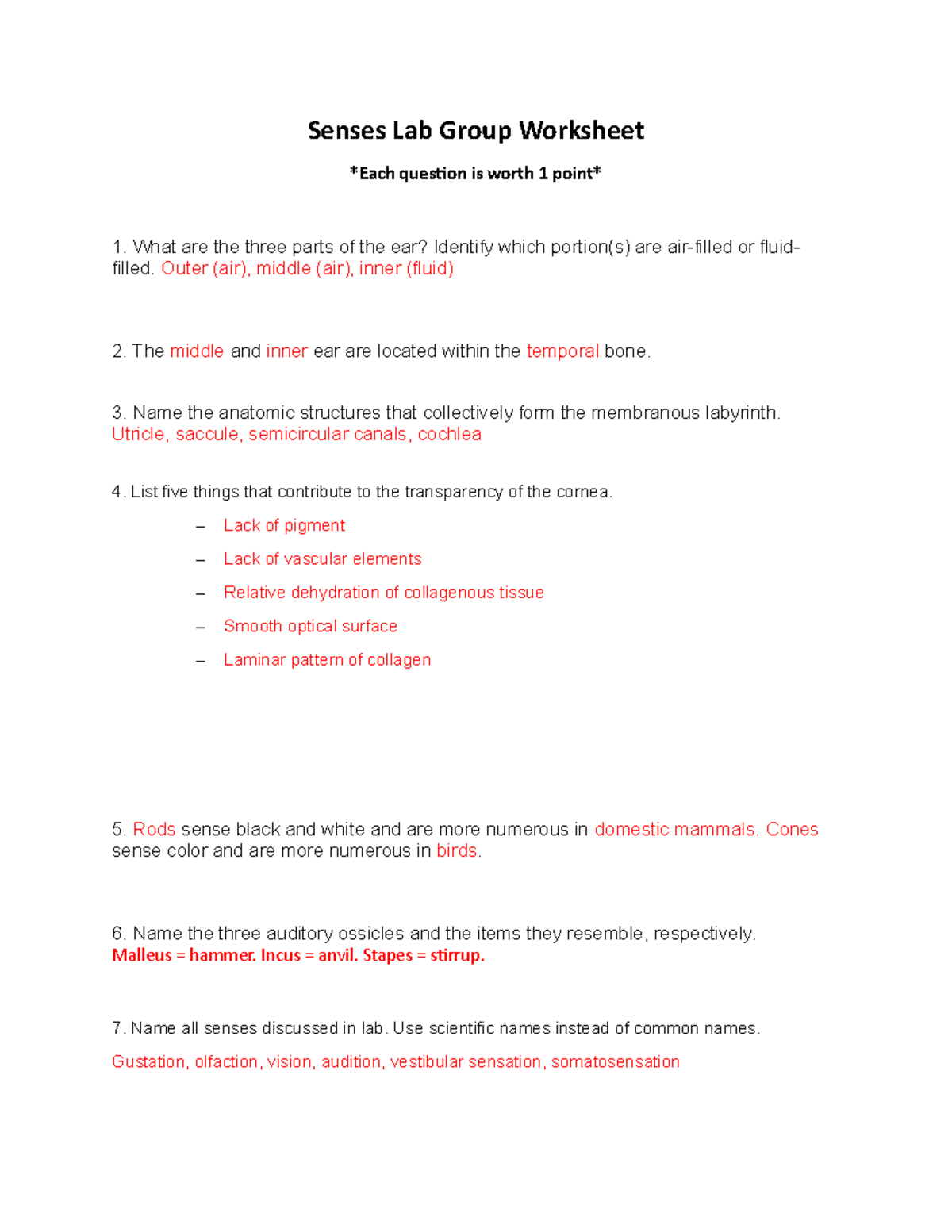 Senses Lab Group Worksheet Key - Senses Lab Group Worksheet Each ...