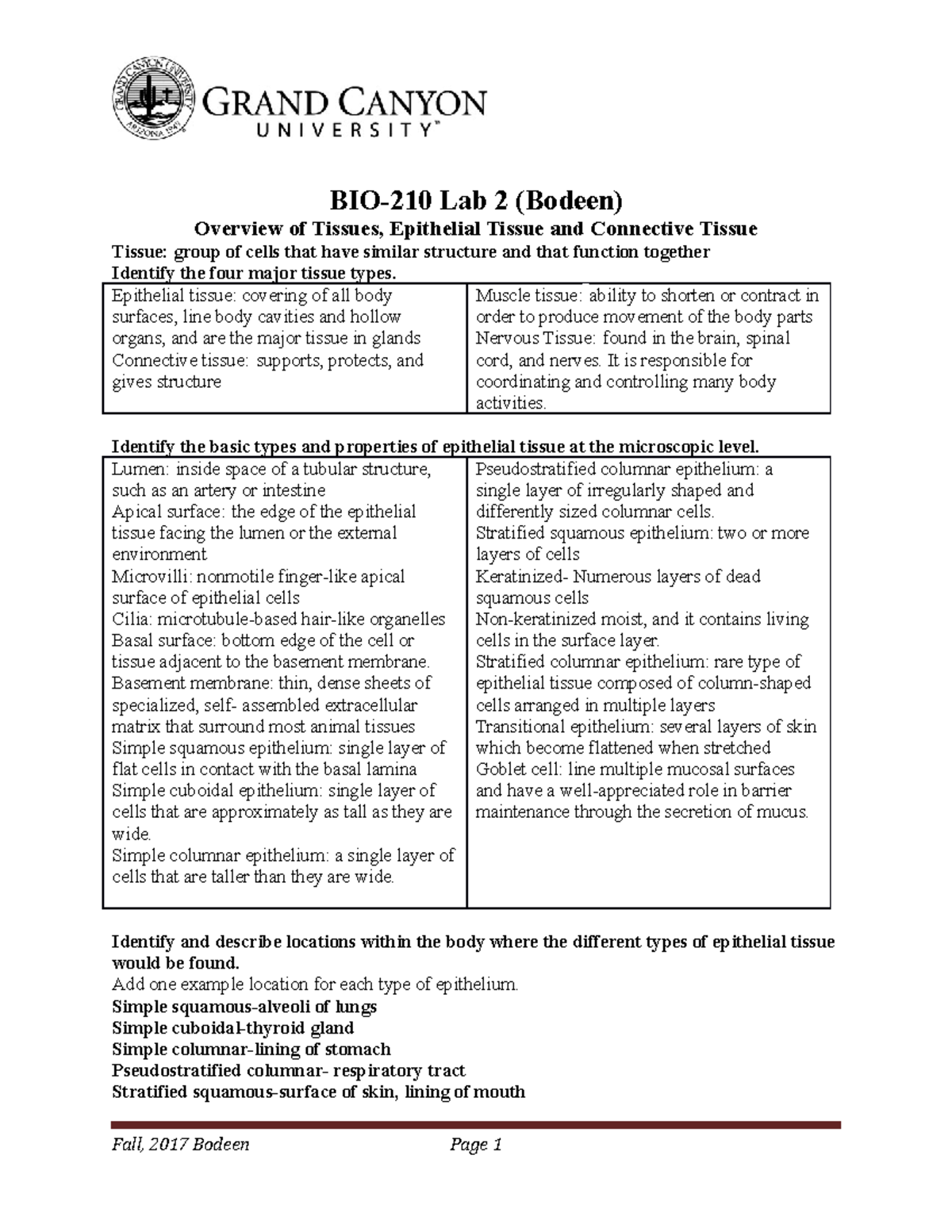 Week 2 terms tissues - BIO-210 Lab 2 (Bodeen) Overview of Tissues ...