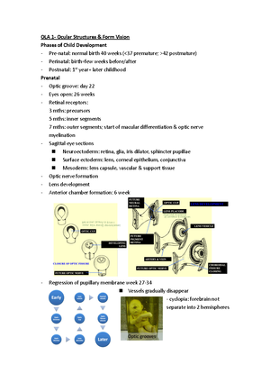Sight Test Notes - Sight Test Notes: Motility Room lights on Remove ...