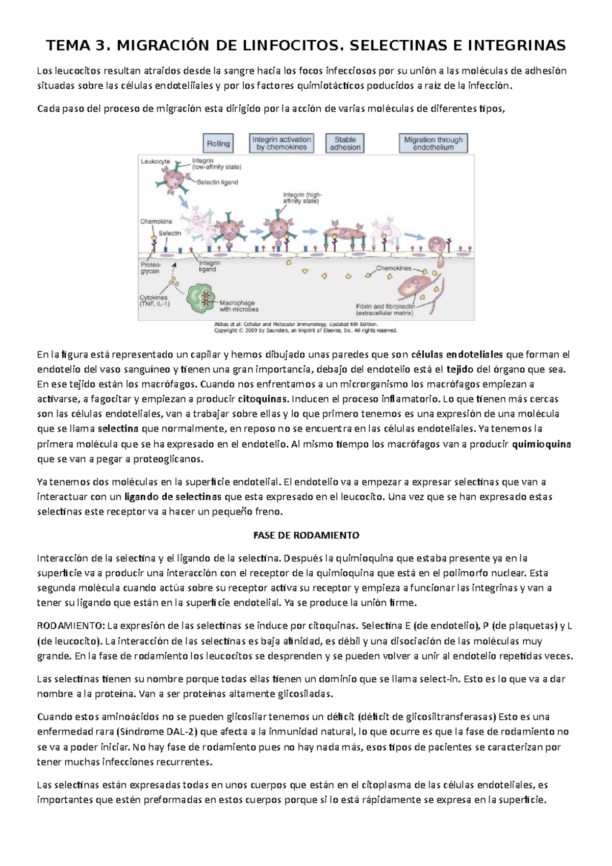 TEMA 3 inmuno - Tema 3 - TEMA 3. MIGRACIÓN DE LINFOCITOS. SELECTINAS E ...
