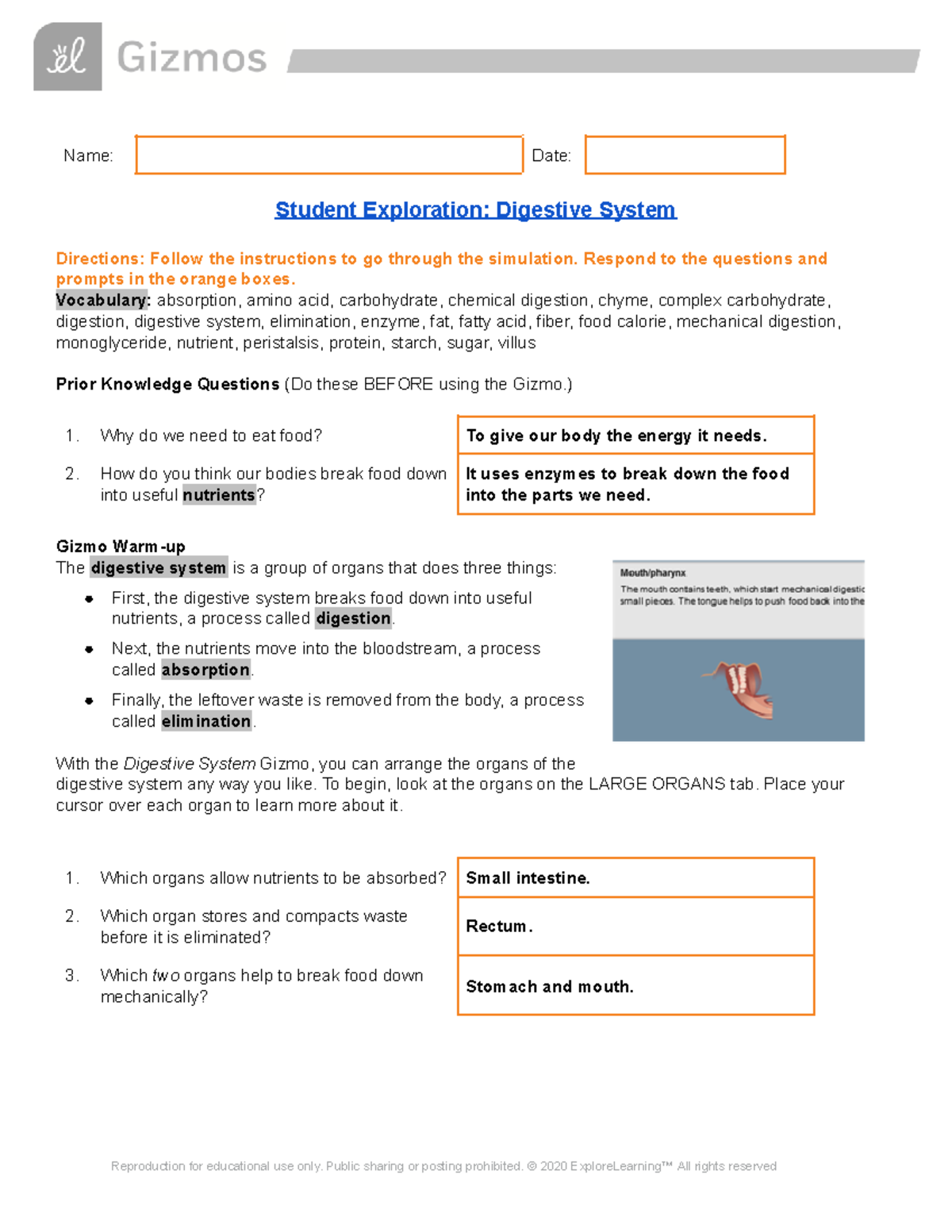 HHA&P Digestive System SE Gizmos (Digital Lab) - Name: Date: Student ...