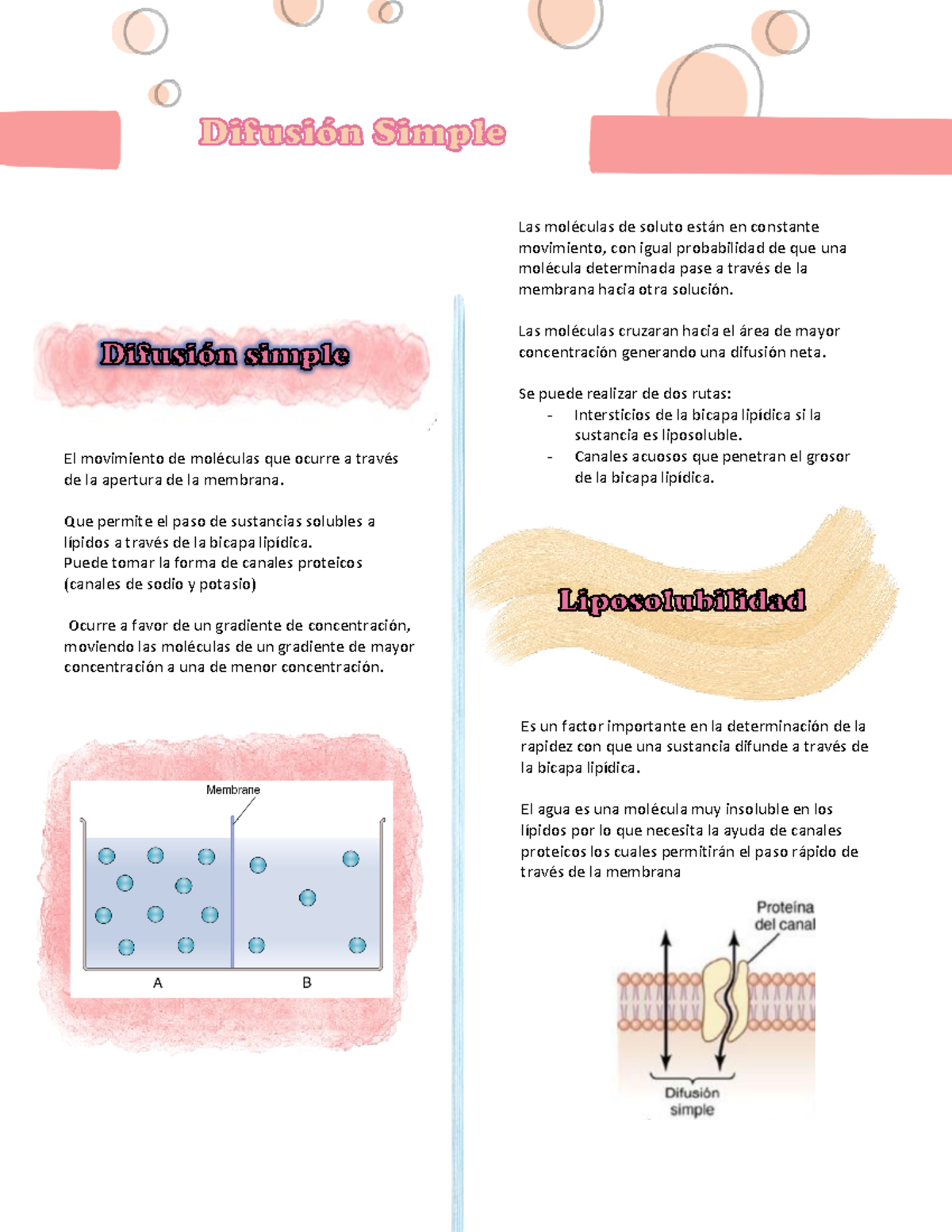 Difusion simple - El movimiento de moléculas que ocurre a través de la ...