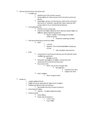 Physiology CHAP 7 Nervous System notes - The Nervous System Neurons ...
