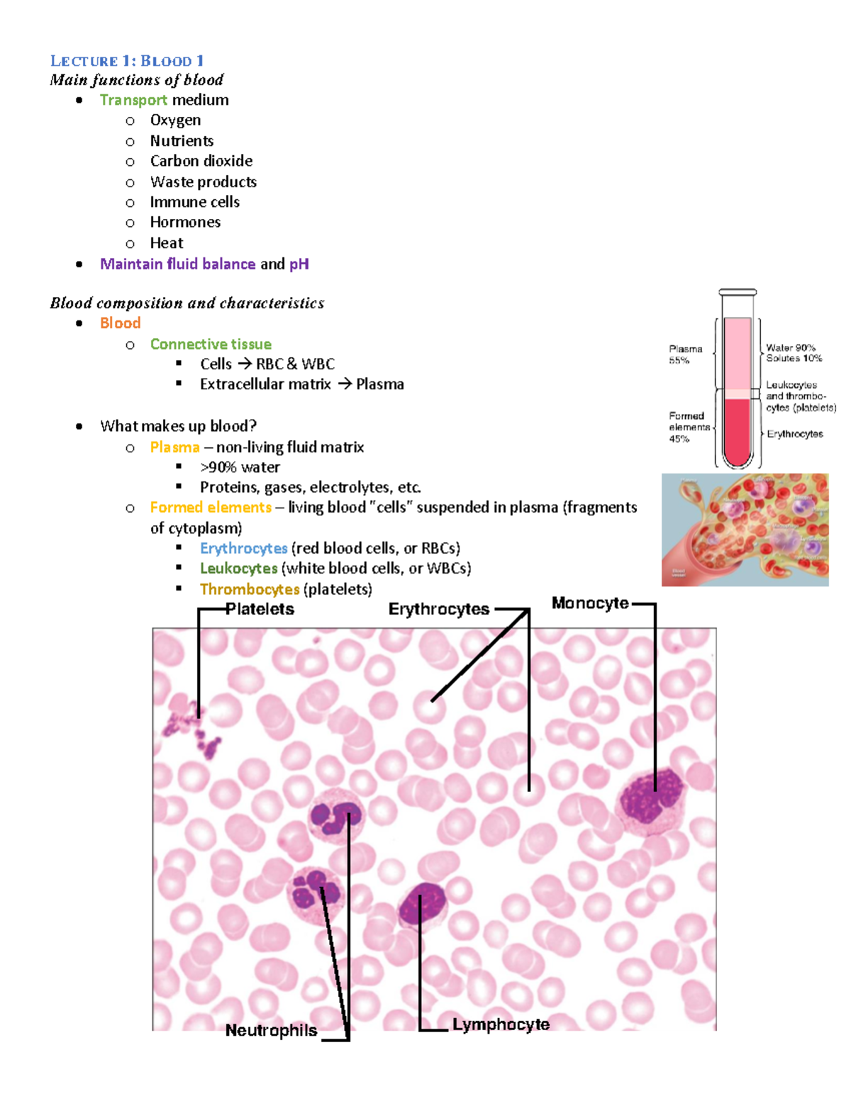 Lecture 1- Blood 1 - Main functions of blood - Transport medium o ...
