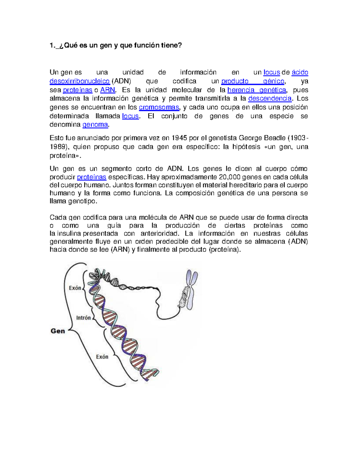Acido nucleicos - 1._¿Qué es un gen y que función tiene? Un gen es una ...