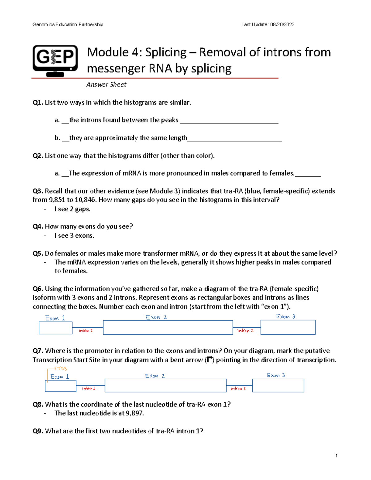 Module 4 Splicing Answer Sheet copy 2 - Module 4 : Splicing – Removal ...
