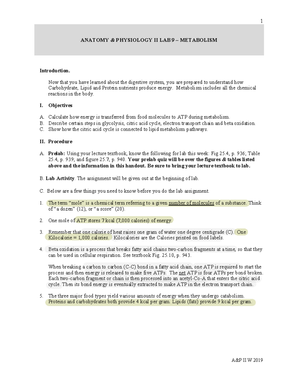 Lab 9 Metabolism - This work for an A&P lab - 1 A&P II W 2019 ANATOMY ...