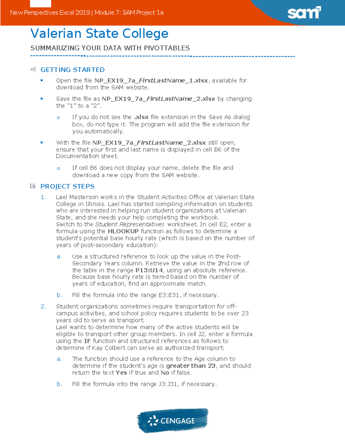 Instructions NP EX19 7a - Valerian State College SUMMARIZING YOUR DATA ...