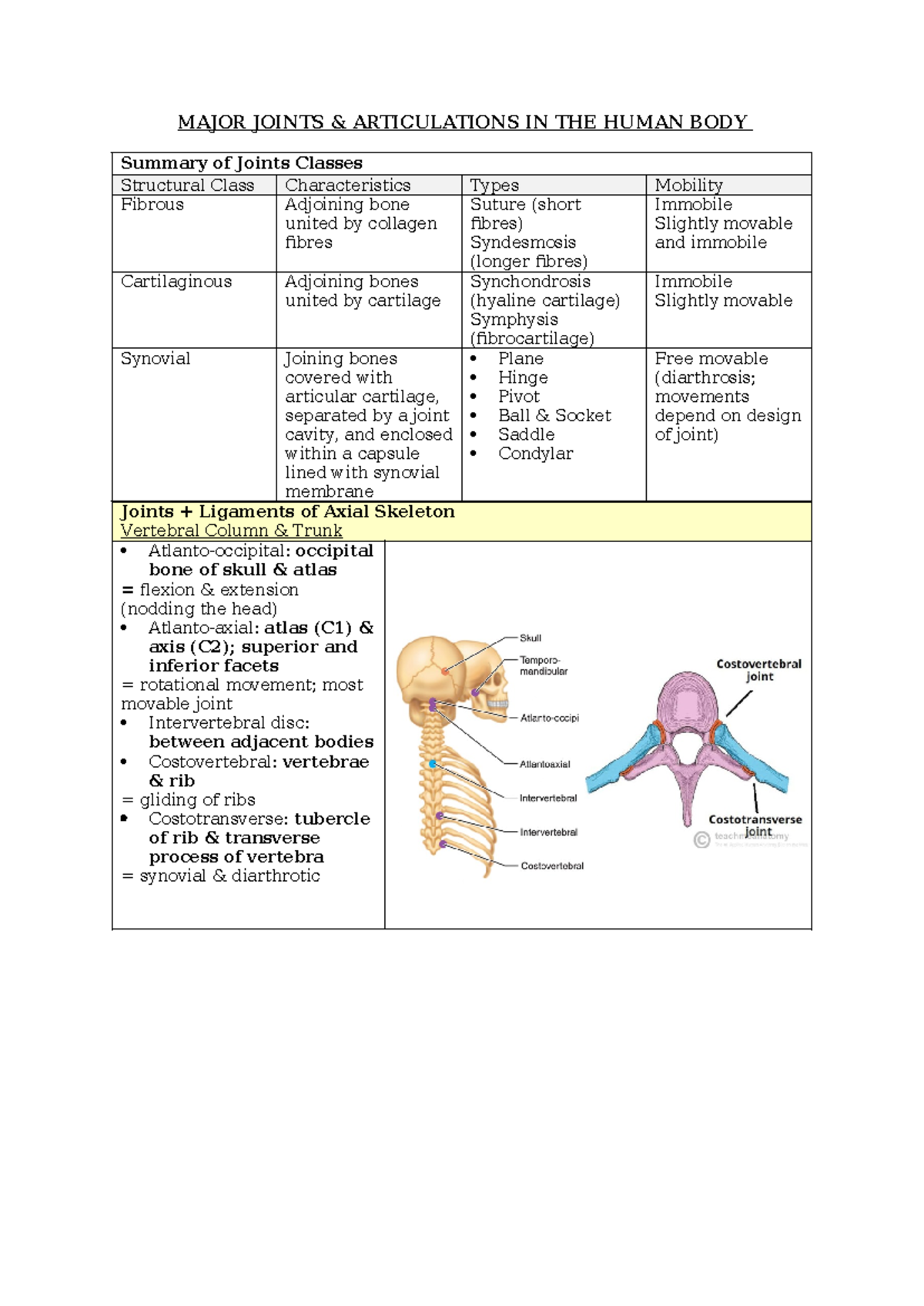 Joints & Articulations - MAJOR JOINTS & ARTICULATIONS IN THE HUMAN BODY ...