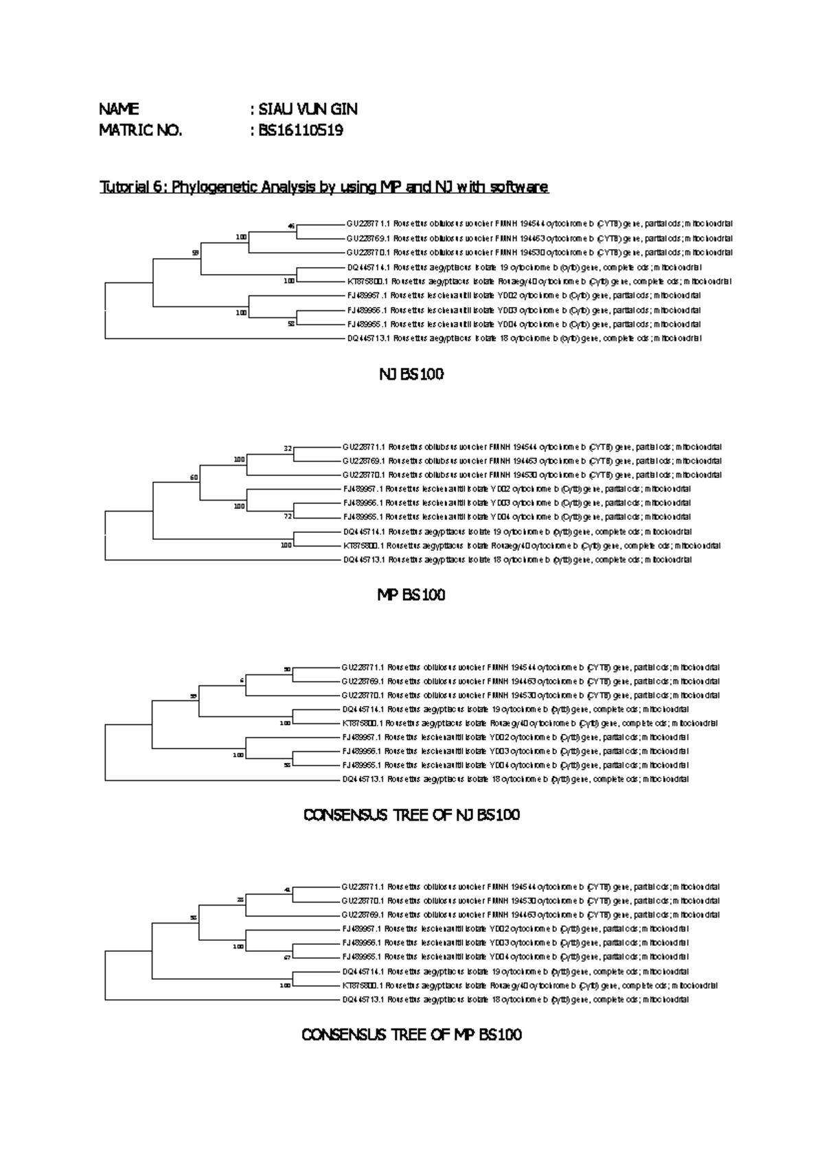 Tutorial 6. Biomolecules - NAME : SIAU VUN GIN MATRIC NO. : BS 16110519 Tutorial 6: Phylogenetic ...