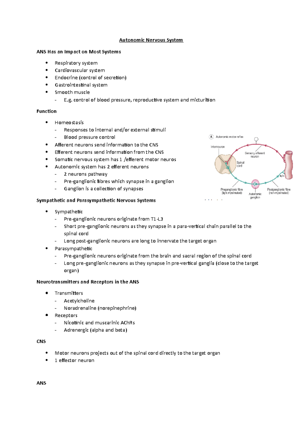 Autonomic Nervous System - control of blood pressure, reproductive ...