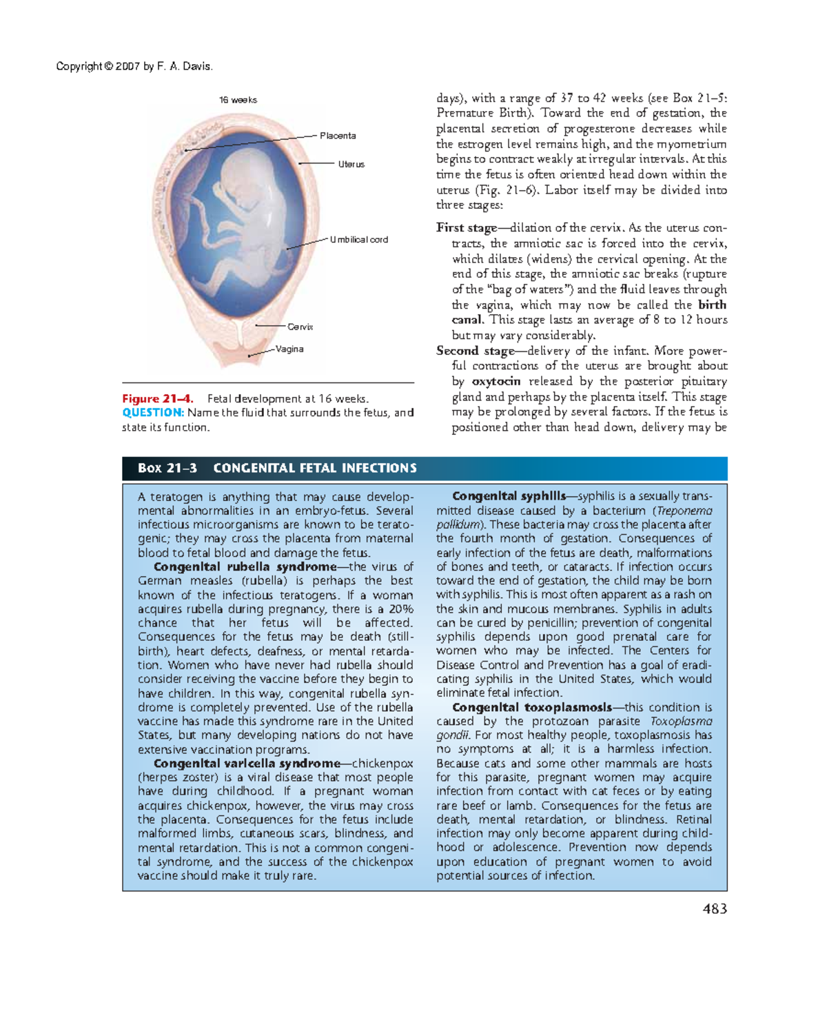 Anaphy 2 - Textbook by Valerie Scanlon and Tina Sanders - BOX 21–3 ...