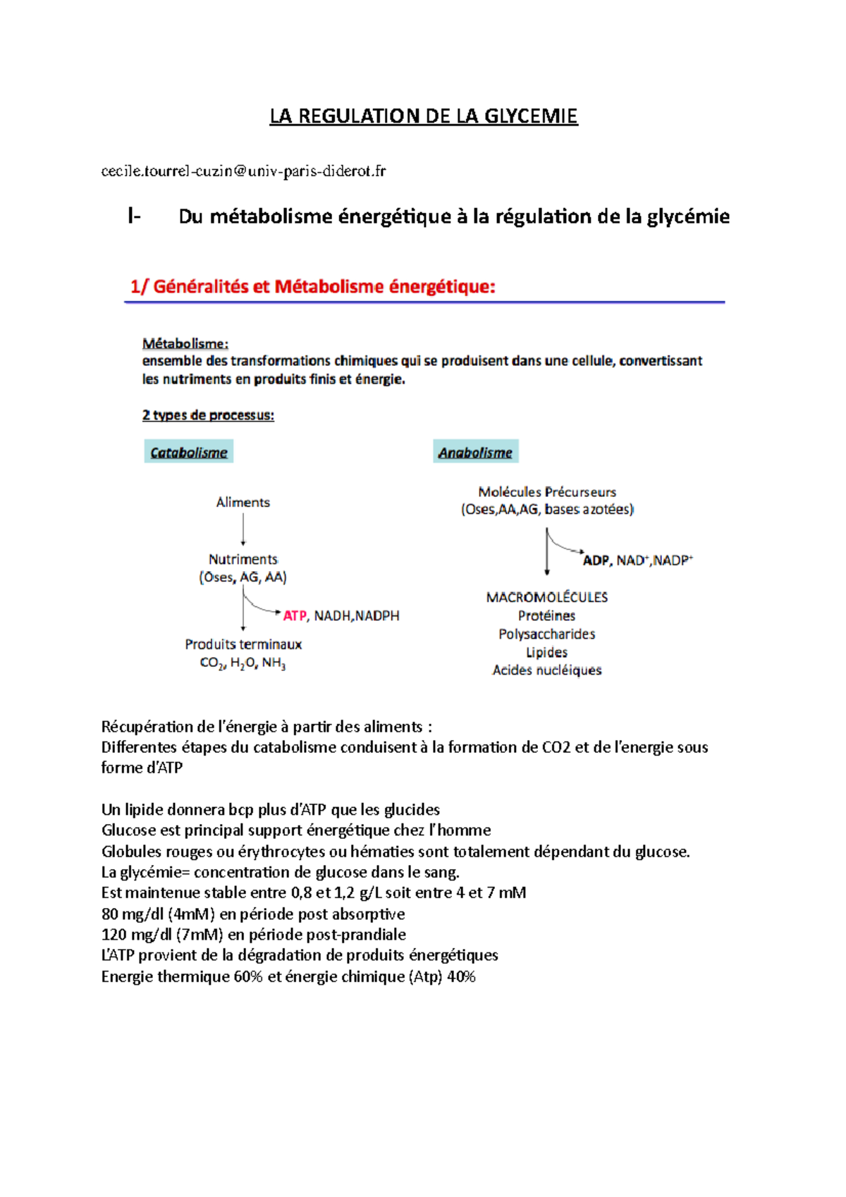 Regulation DE LA Glycémie - LA REGULATION DE LA GLYCEMIE cecile-cuzin ...