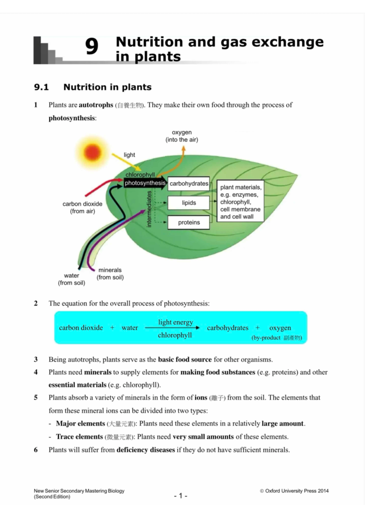 Bio CH.9 notes - ch9 - 9 Nutrition and gas exchange in plants 9 ...