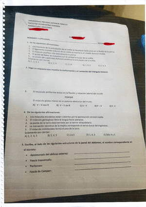 Manual 2024 Guias DE Practica DE Fisiologia Morfofisiologia I Actualizado - UNIVERSIDAD PRIVADA ...